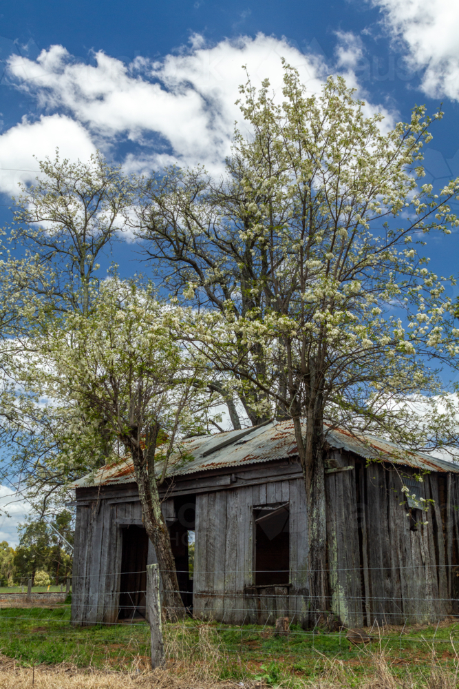 Image of Abandoned house ruins on farmland - Austockphoto