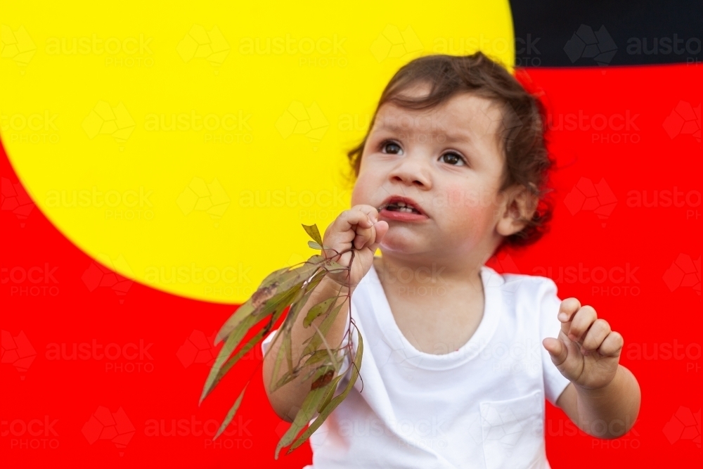 Image of Aboriginal australian baby chewing on gum leaf twig against ...