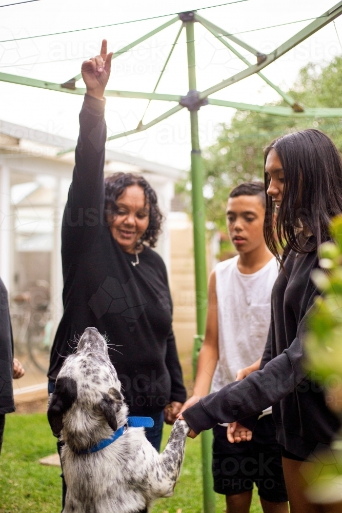 Image of Aboriginal family playing with their dog in the backyard ...