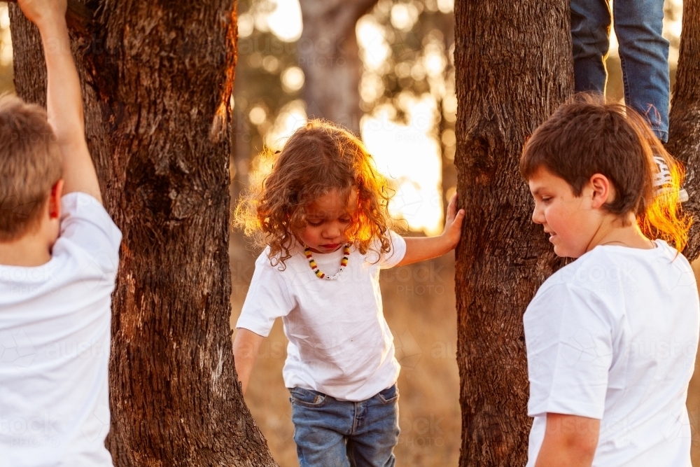 Image of Aboriginal kids playing in tree at sunset - Austockphoto
