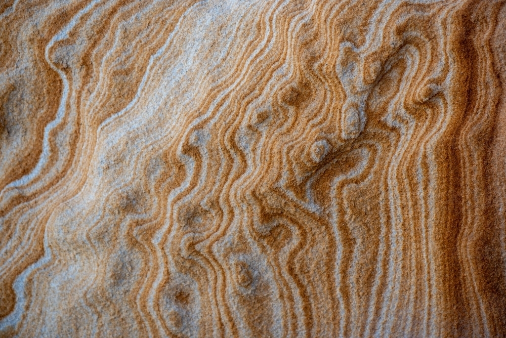 Image of Abstract pattern of iron staining in Sydney sandstone ...