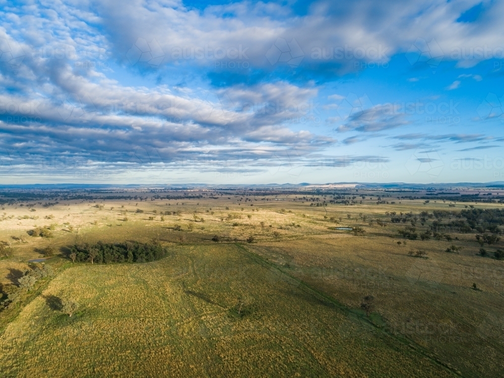 Image of Aerial Australian farm landscape of pastoral paddocks ...