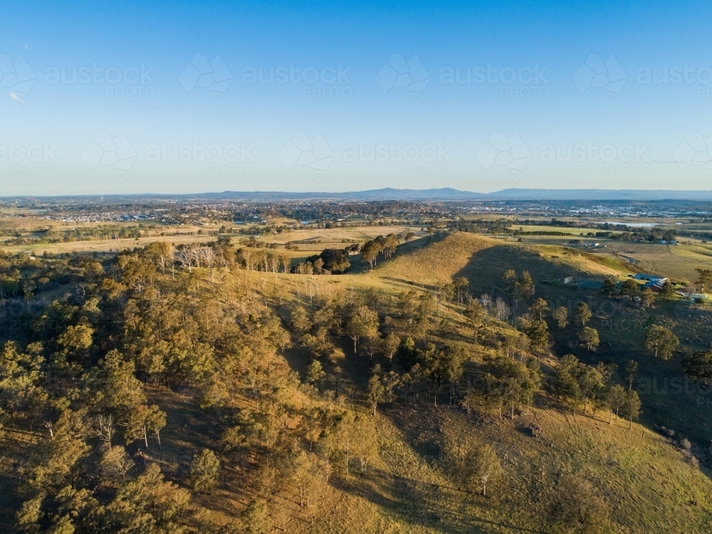 Image of Aerial image of top of hill in farmland with gum trees along ...