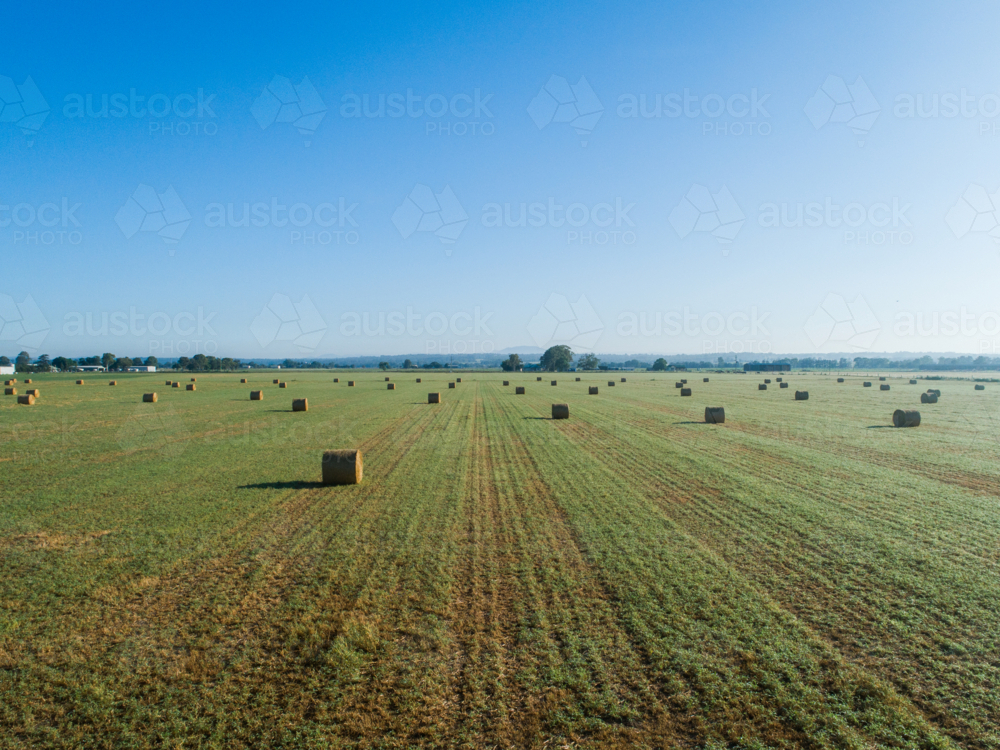 Image of Aerial landscape view of round hay bales in sunlit farm ...
