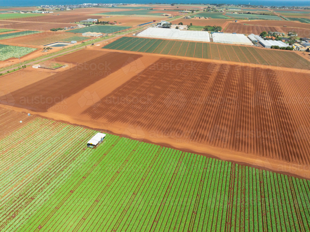 Image of Aerial overview of crops in a market garden - Austockphoto