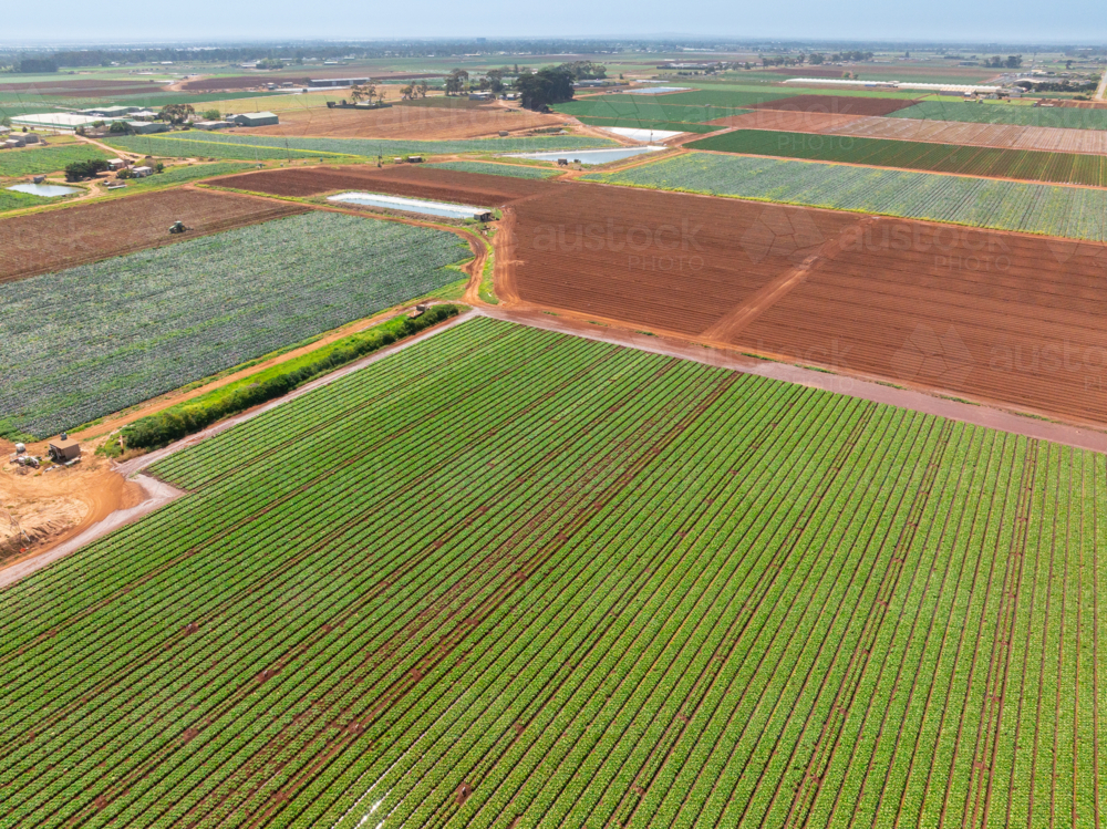Image of Aerial overview of crops in a market garden - Austockphoto