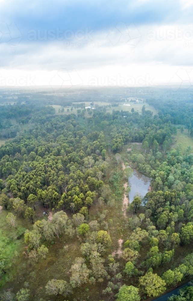 Image of Aerial panorama of dam in paddock full of trees on overcast ...