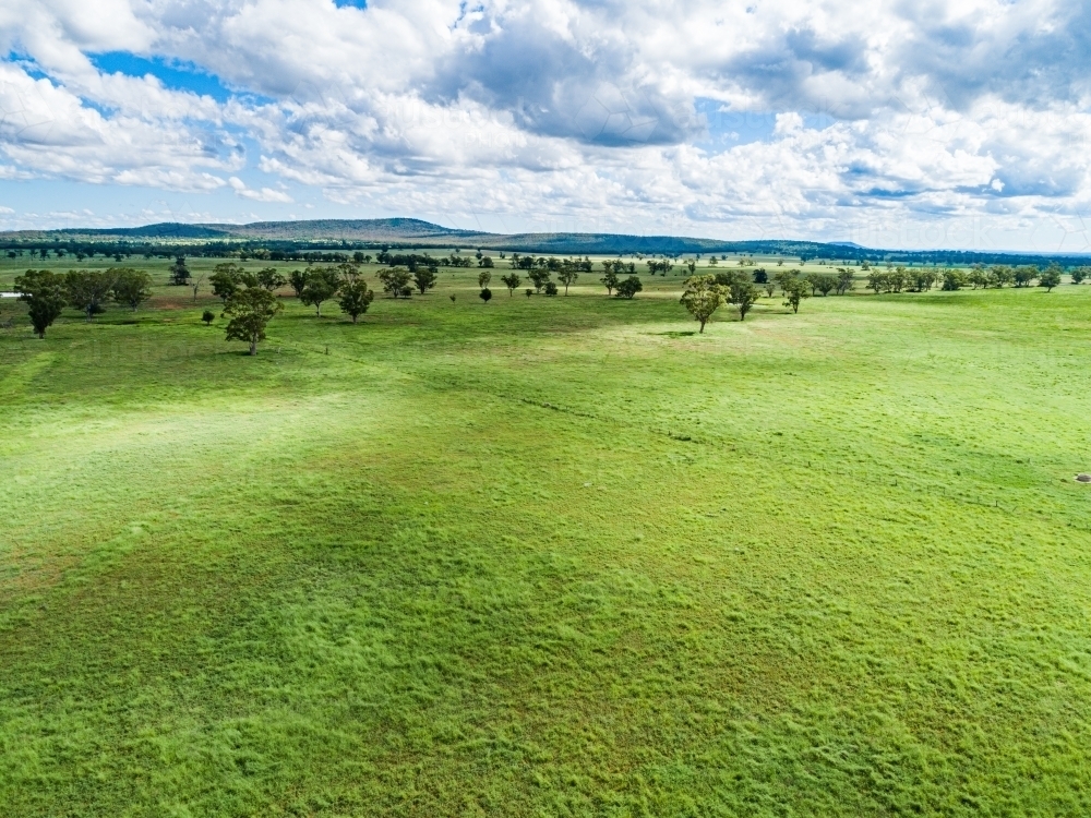Image of Aerial photo of green farm paddock on Aussie farm - Austockphoto