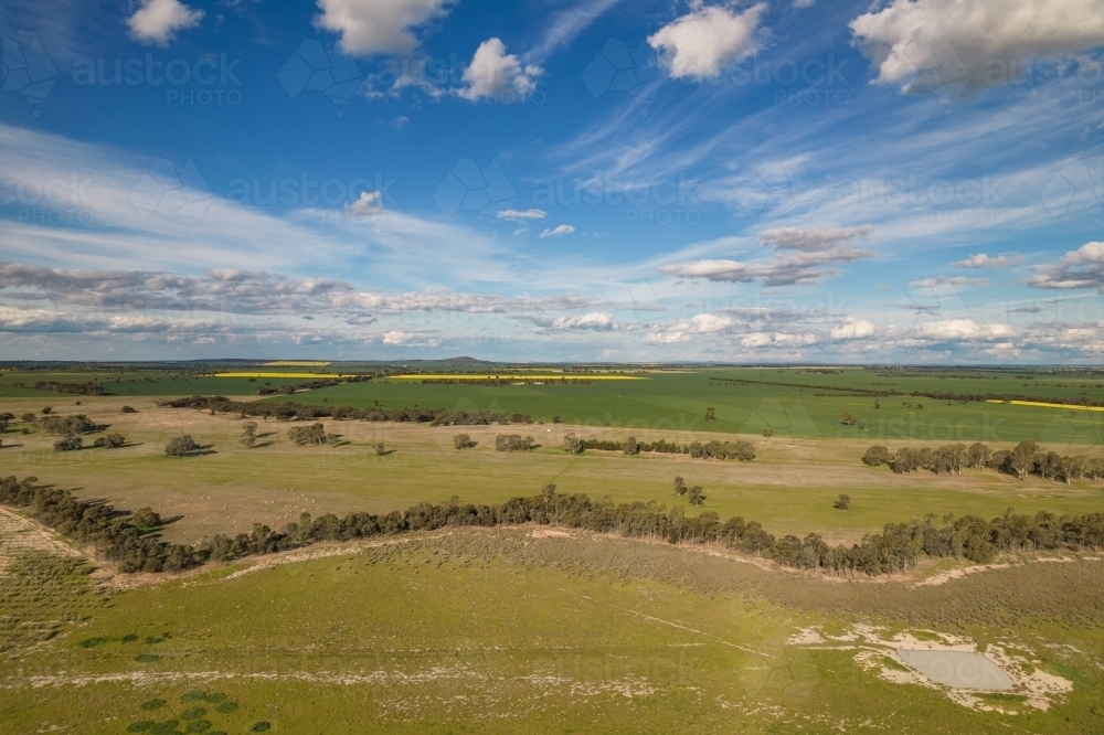 Image of aerial shot of a big open field with tress on a sunny day with ...