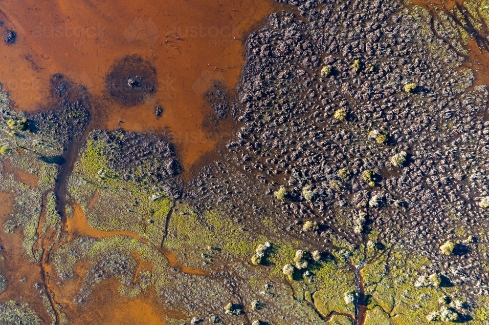 Image of aerial view looking down over swampy wetland - Austockphoto