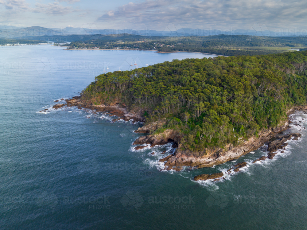 Image of Aerial view of a coastal headland covered in dense vegetation ...