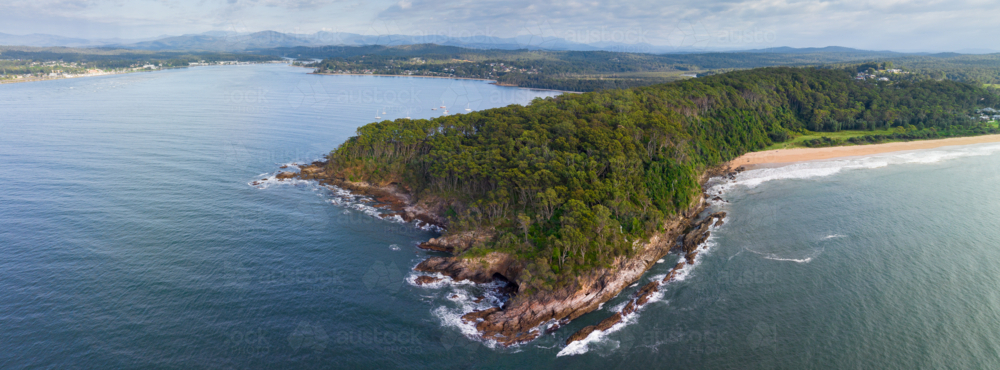 Image of Aerial view of a coastal headland covered in dense vegetation ...