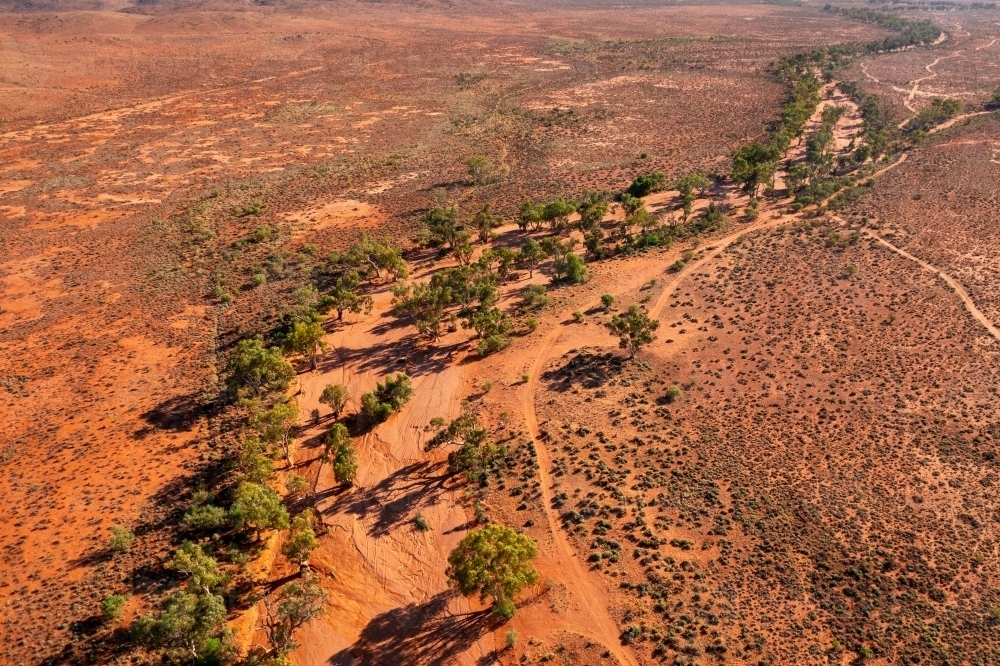 Image of Aerial view of a dry red soil river bed lined with gum trees ...