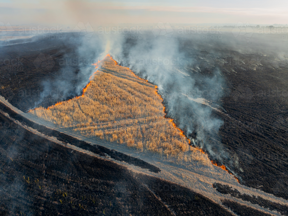 Image of Aerial view of a fire burning off stubble in a blackened ...