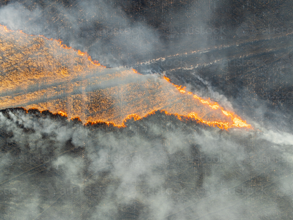 Image of Aerial view of a fire burning off stubble in a blackened ...
