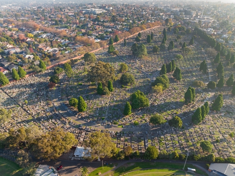 Image of Aerial view of a large tree lined suburban cemetery - Austockphoto