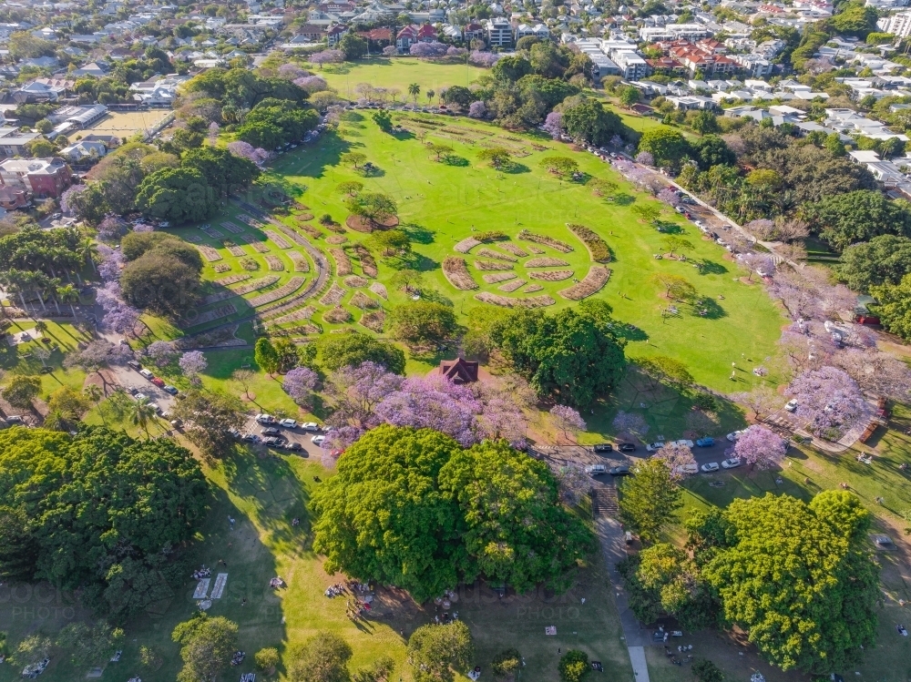 Image of Aerial view of a lark park surrounded by jacaranda trees ...