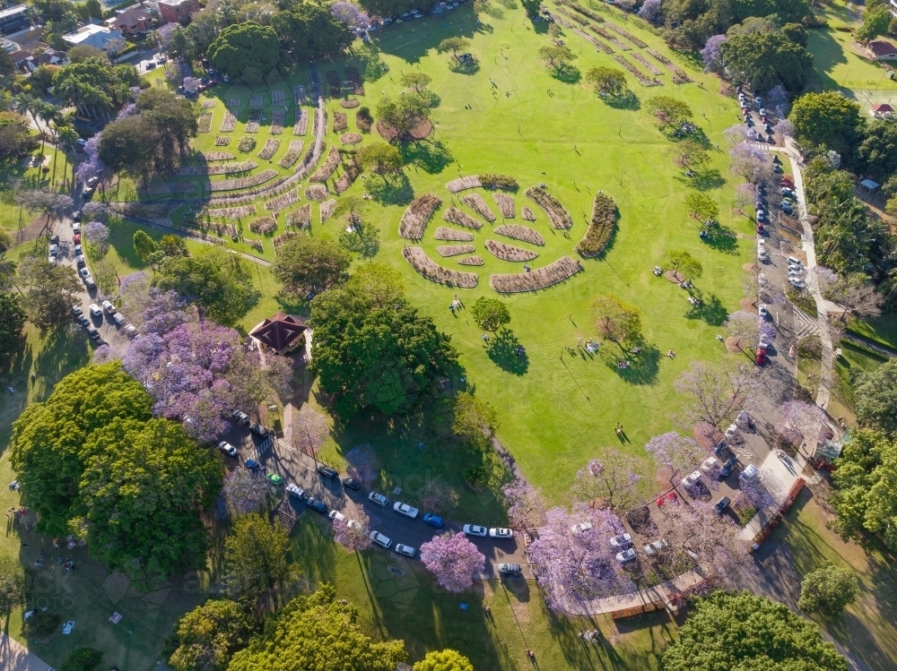 Image of Aerial view of a lark park surrounded by jacaranda trees ...