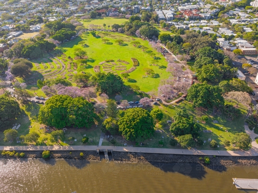 Image of Aerial view of a lark park surrounded by jacaranda trees on ...