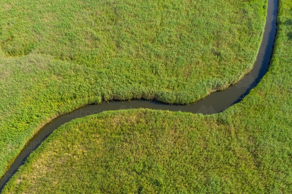 Image of Aerial view of a narrow creek winding through lush green reeds ...