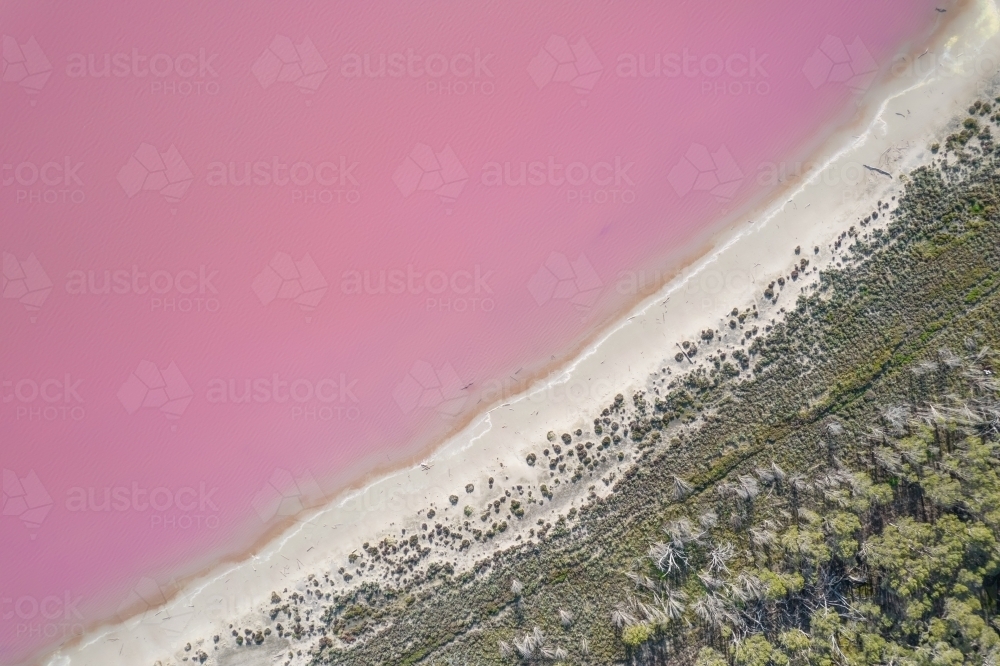 Image of Aerial view of a natural phenomenon of a pink lake. - Austockphoto