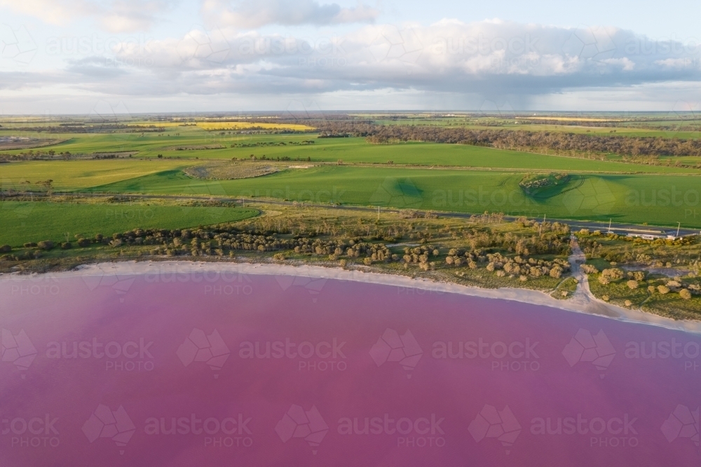 Image of Aerial view of a natural phenomenon of a pink lake. - Austockphoto