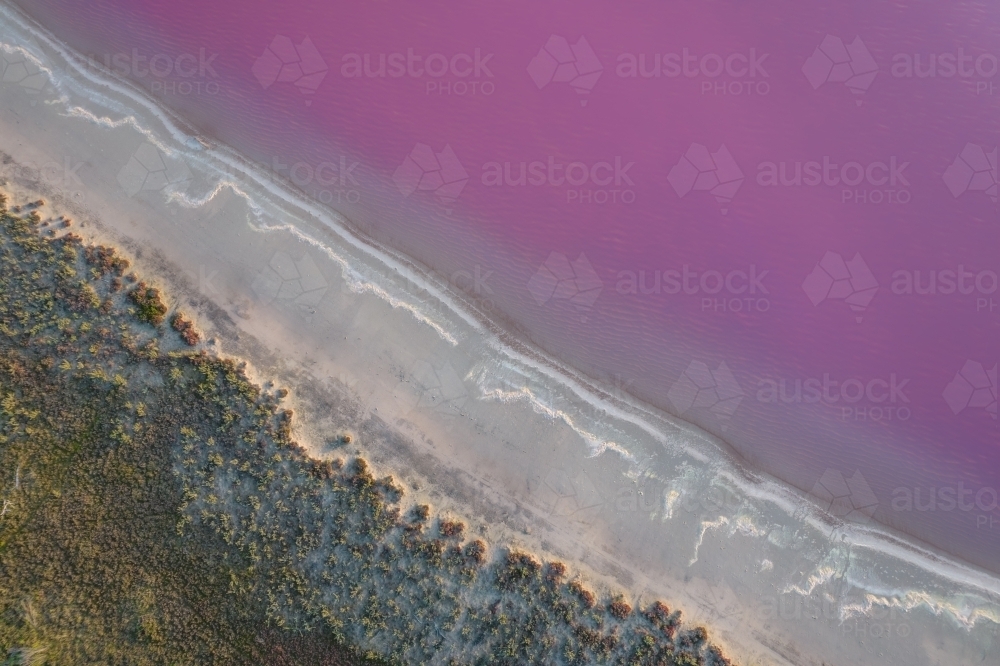 Image of Aerial view of a natural phenomenon of a pink lake. - Austockphoto
