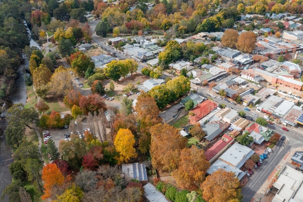 Image of Aerial view of a regional town full of Autumn coloured trees ...
