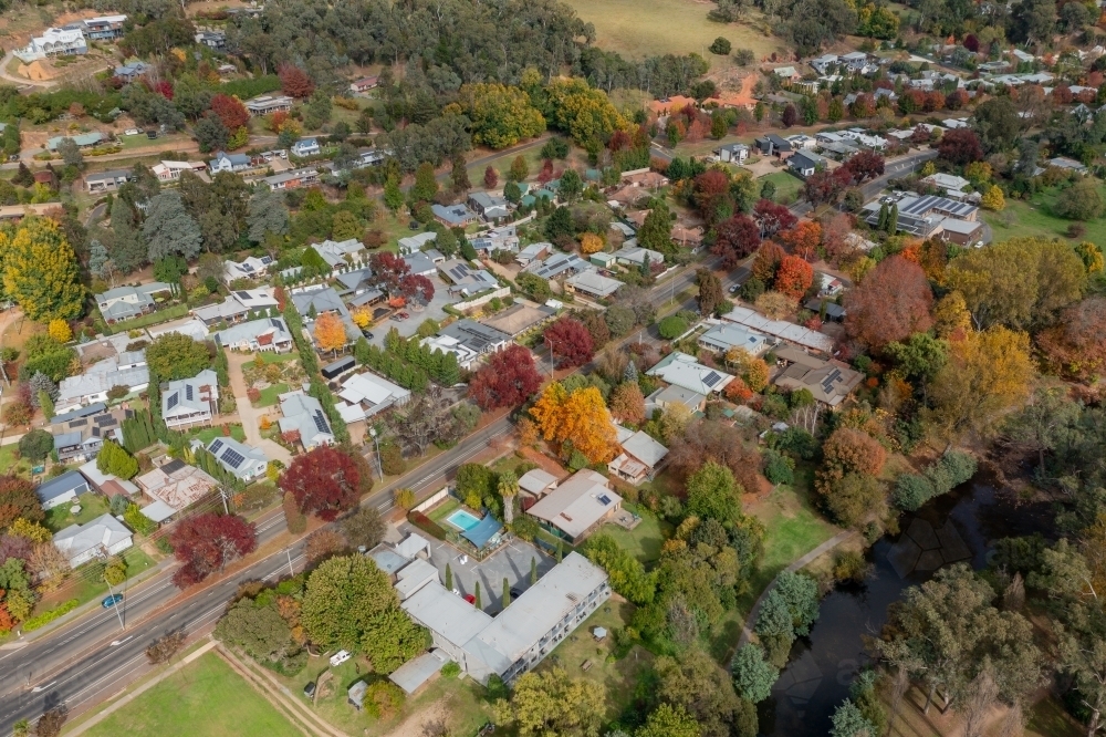 Image of Aerial view of a regional town full of Autumn coloured trees ...