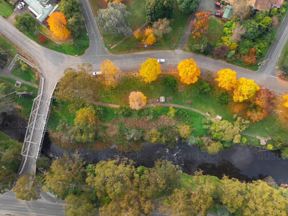 Image of Aerial view of a steel bridge and a row of Autumn coloured ...