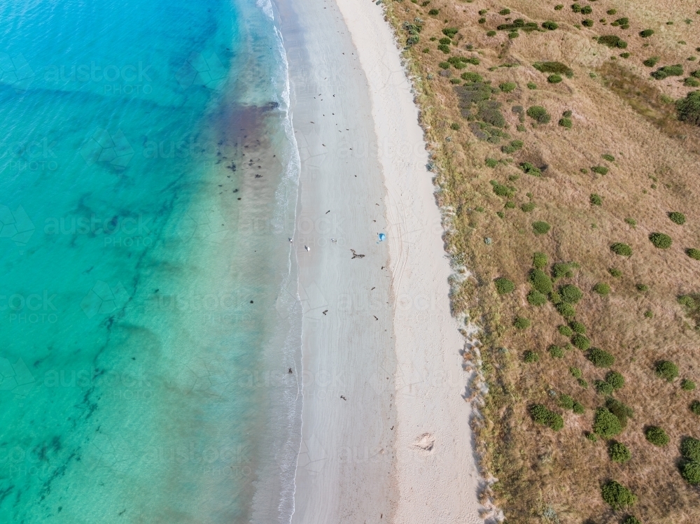 Image of Aerial view of a strip of white sandy beach between turquoise ...