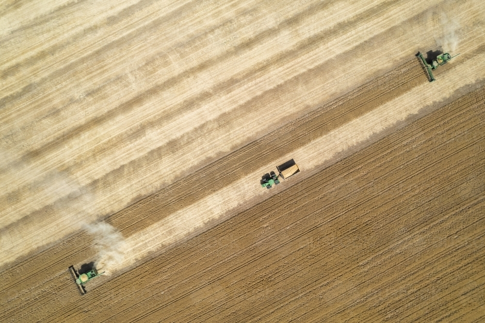 Image of Aerial view of a vast farmland with distinct areas of varying ...