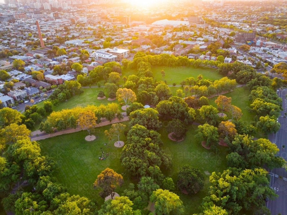 Image of Aerial view of an inner city park and surrounding suburb in ...