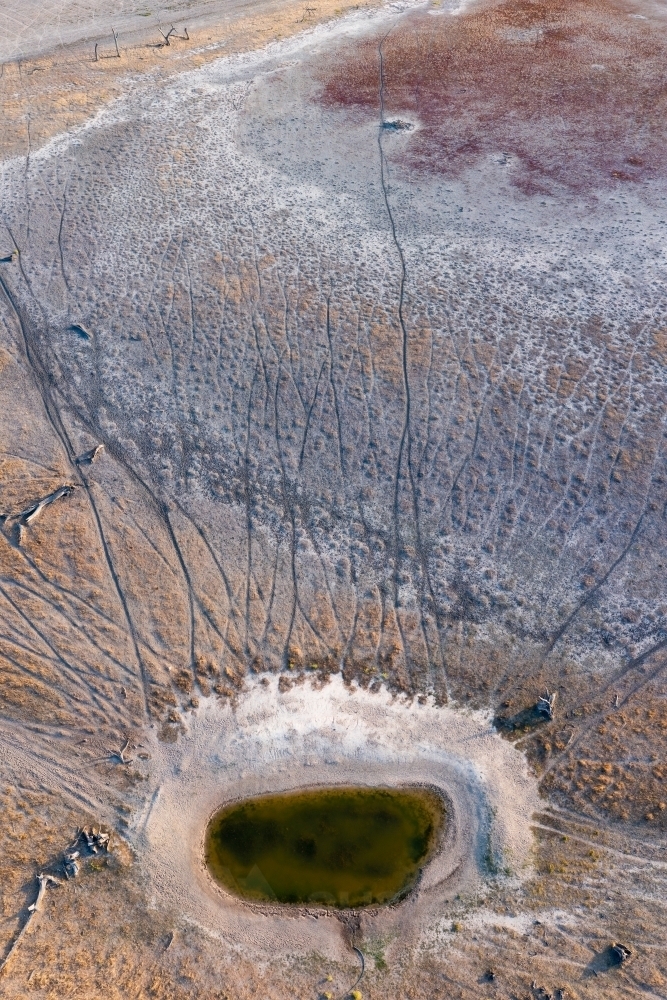 Image of Aerial view of arid farmland with cattle tracks leading to a ...