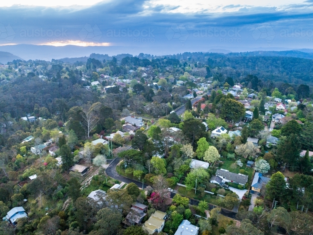 Image of aerial view of Blackheath streets and houses in spring near ...