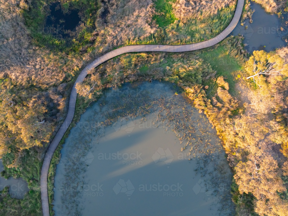 Image of Aerial view of boardwalk winding around a waterhole - Austockphoto