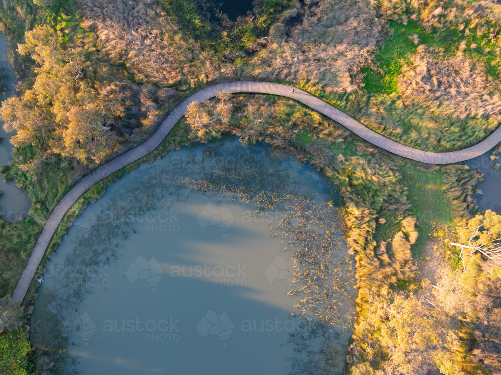 Image of Aerial view of boardwalk winding through an urban wetland ...