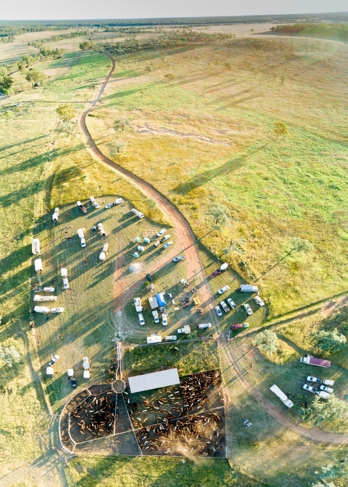 Image of Aerial view of farm homestead, campsites, and cattle yards ...