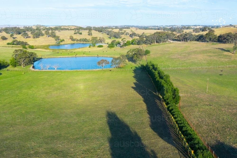 Image of aerial view of farm paddocks with two dams - Austockphoto