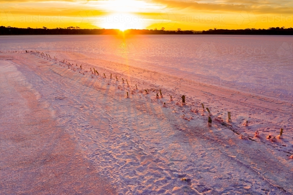 Image of Aerial view of fence line detail through a pink salt Lake at ...
