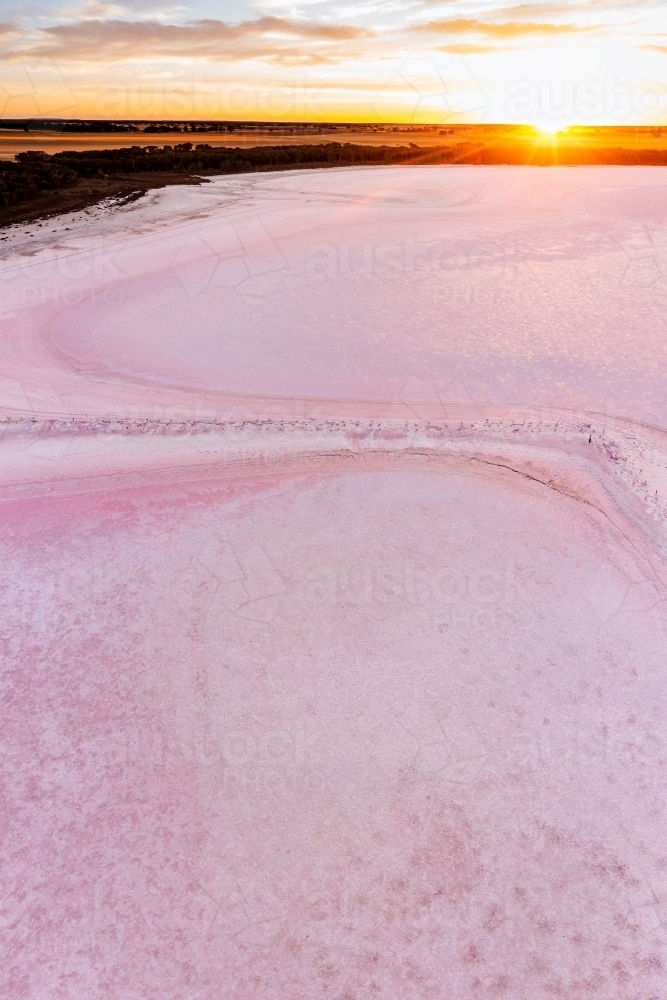 Image of Aerial view of fence line detail through a pink salt Lake at ...