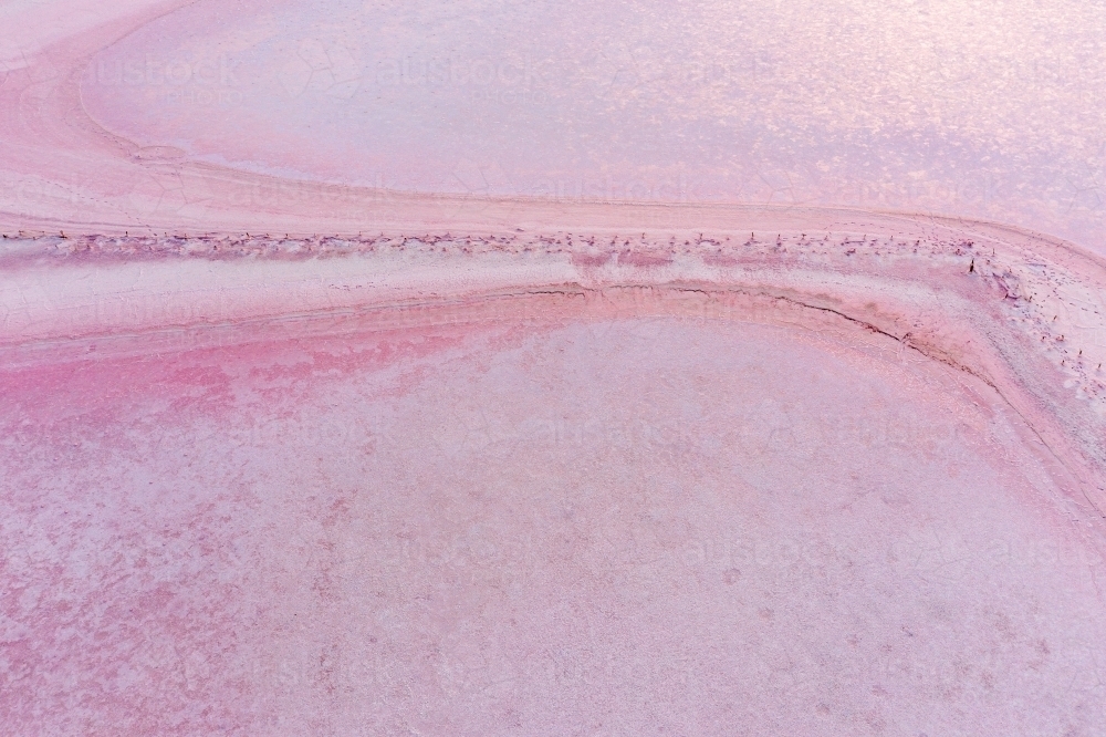 Image of Aerial view of fence line detail through a pink salt Lake ...