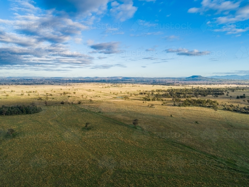 Image of Aerial view of flat Aussie farm paddock with sunlight on grass ...