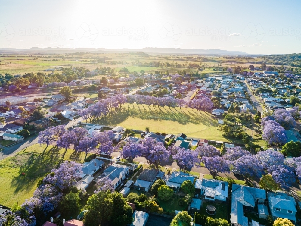 Image of aerial view of golden evening light over town with purple ...