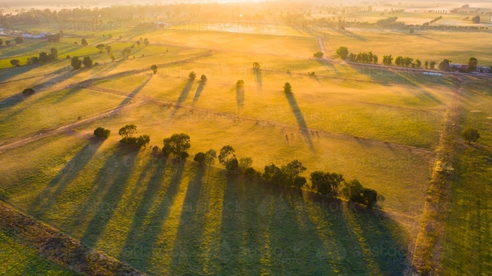 Image of Aerial view of golden sunshine casting long shadows over ...