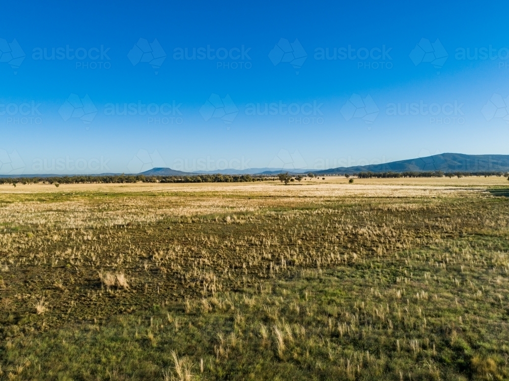 Image of Aerial view of grassy farm landscape of wide flat paddock ...