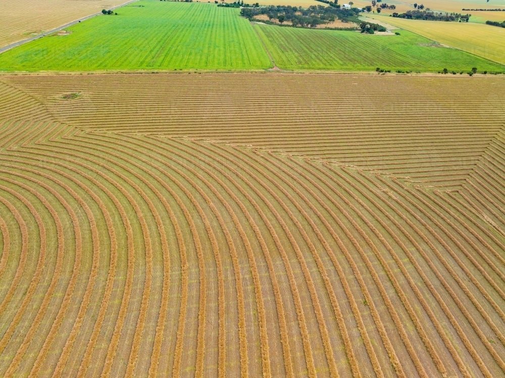 Image of Aerial view of harvester lines and patterns in a rural paddock ...