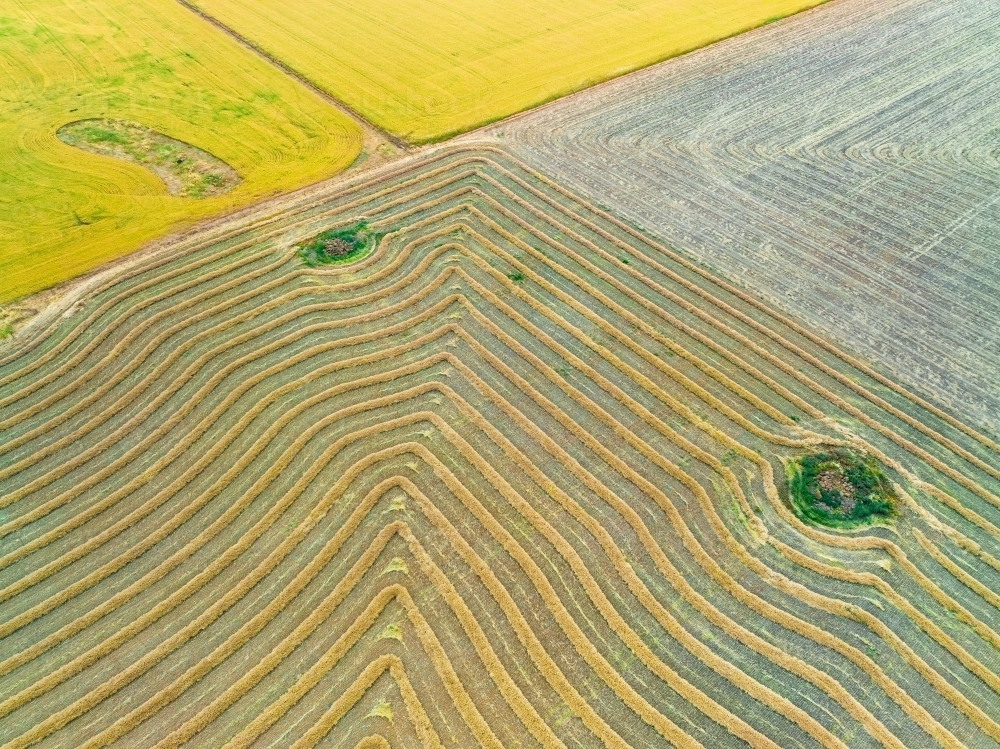 Image of Aerial view of harvester lines and patterns in a rural paddock ...
