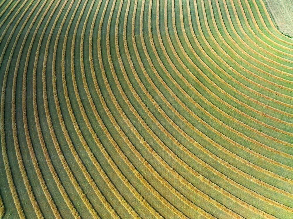 Image of Aerial view of harvester lines and patterns in a rural paddock ...