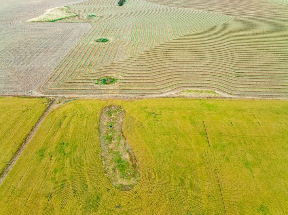 Image of Aerial view of harvester lines and patterns in a rural paddock ...